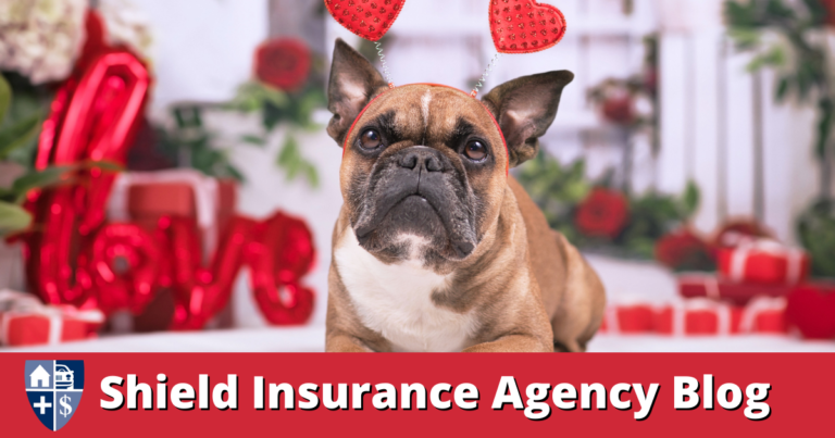 30 Fun Valentine’s Day Facts That Will Surprise You - Blog | Shield ...