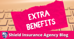 Insurance Policies Decoded: Unraveling the Magic of Additional ...
