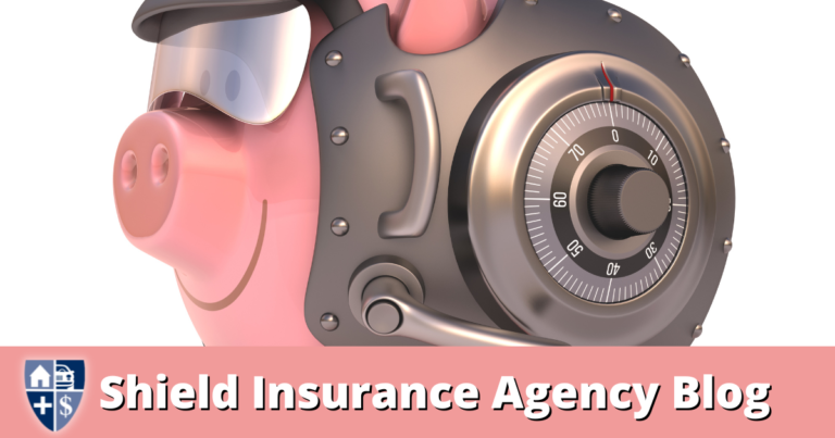 The Art of Shielding Your Wealth: Expert Techniques - Blog | Shield ...